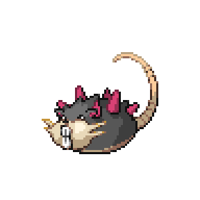 Shiny Raticate Sprite